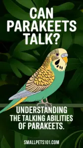 Can Parakeets Talk? Understanding the Talking Abilities of Parakeets ...